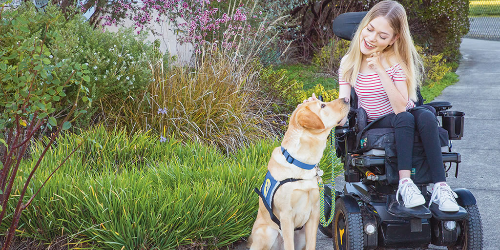 What Age Should I Retire My Service Dog What Age Should I Retire My Service Dog